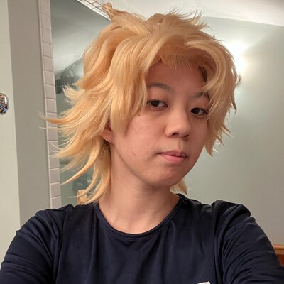 Commission Cosplay Wig Pharaoh WIG - Etsy