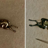 Silver Squirrel and Acorn Hair Pin, Oak Tree Branch, Fall Bobby Pin ...