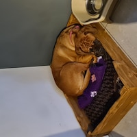 4 Pane RH Hot Tub Robe Towel Hanger Shelf - Etsy UK