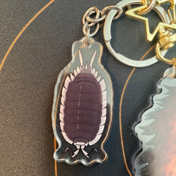 Isopod Artwork Acrylic Keychains Acrylic Cubaris Porcellio 20 Species ...