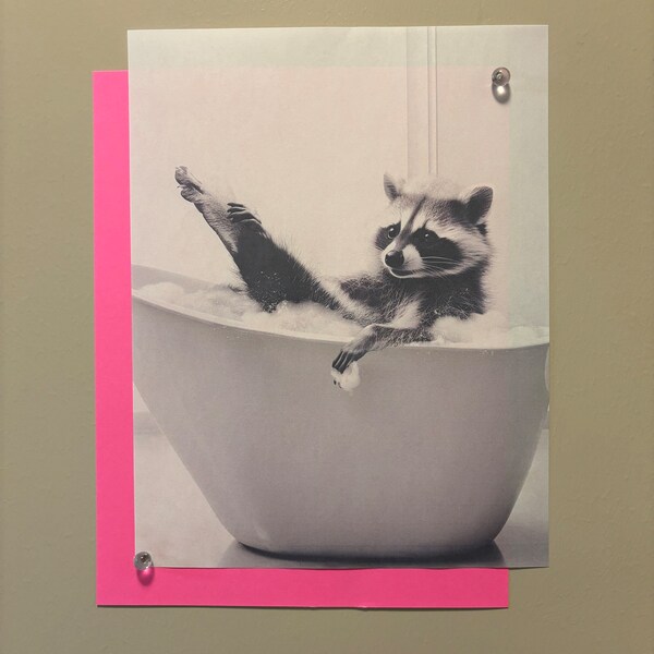 Racoon Wall Art Funny Bathroom Cute Animal Art Racoon Poster Racoon Art ...