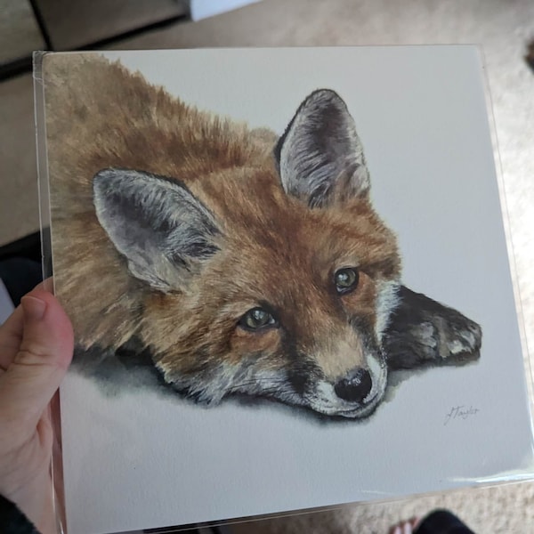 FOX Signed Print of a Watercolour Painting by Jan Taylor, Red Fox 2 - Etsy