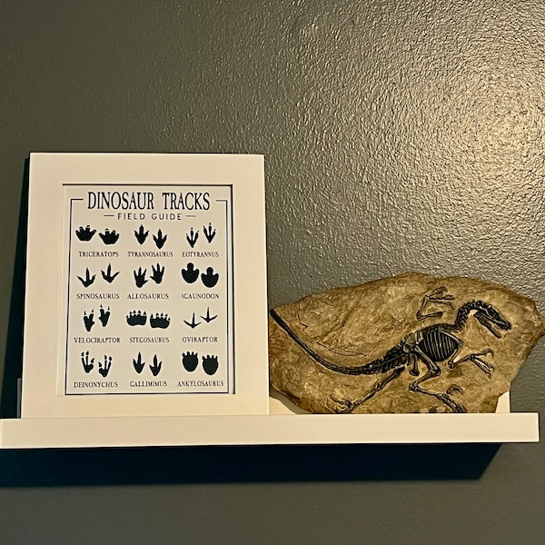 Dinosaur Tracks - Field Guide Sign SVG, Nursery Decor, Kids Room Decor ...