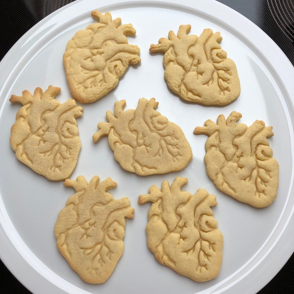 Anatomical Heart Cookie Cutter – Organ Anatomy Design for Medical ...