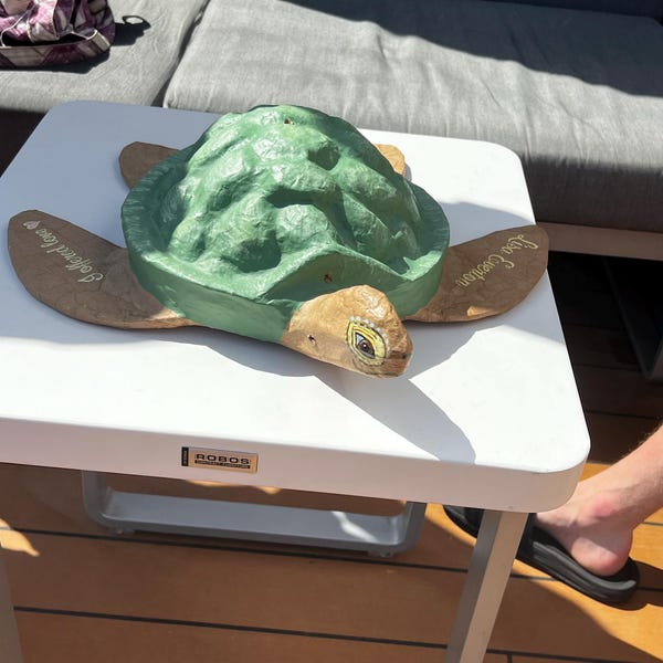 Large Turtle Urn - 200 Lbs - Biodegradable Urn, Cremation, Ocean Burial ...