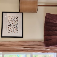 Alberta Backyard Birds Field Guide Art Print / Watercolor - Etsy Canada