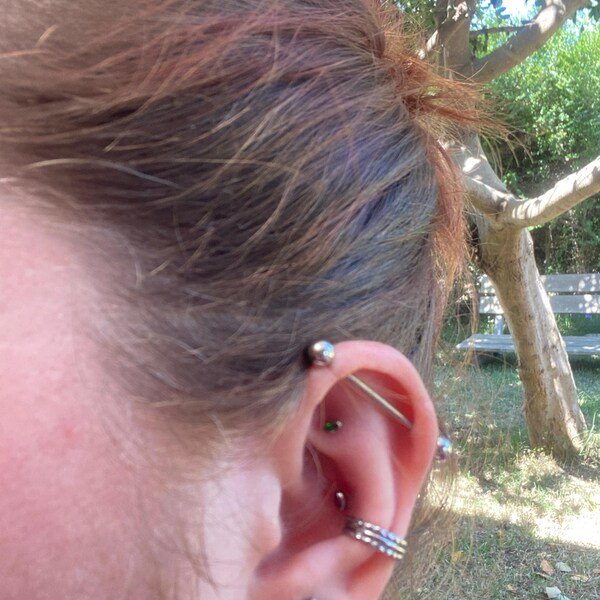 ASTM F136 Titanium Crown Conch Clicker Hoop, 8mm, 10mm, Gold Conch ...