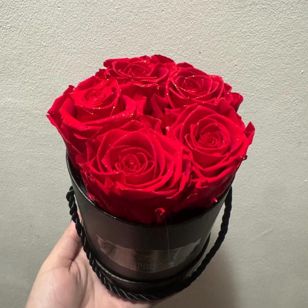 Preserved Real Roses That Last for Years in Round Box With 12 Blooms ...