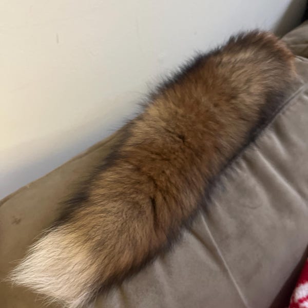 Choose Your Own, Real Fur Red Fox Tail Keychain With Swivel Clasp ...