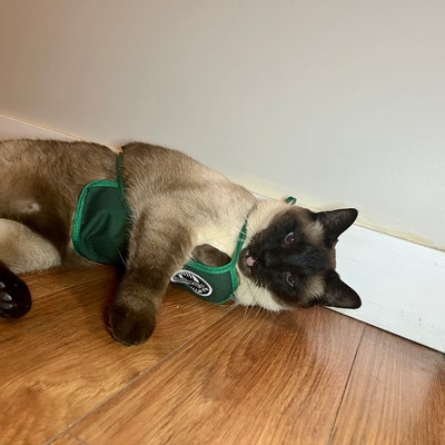 Honey's Mixy Mix Signature Apron - Etsy