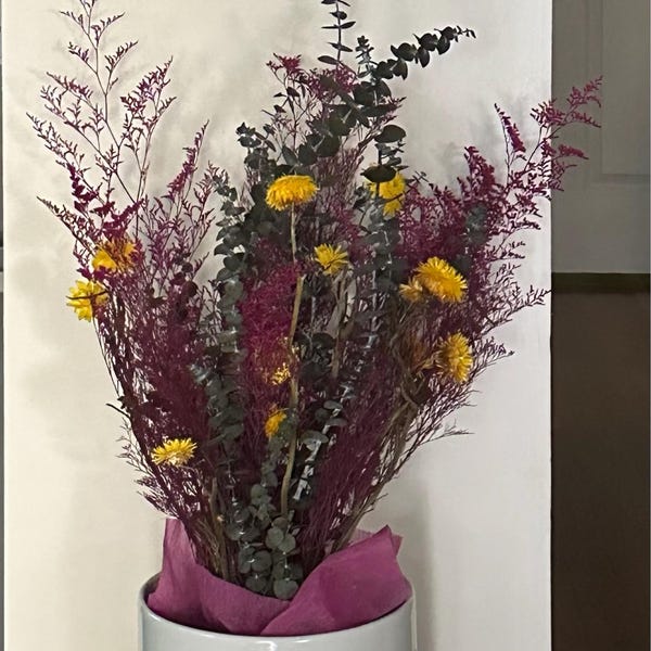 Dried Pepper Grass, Lepidium, Dried Grass, Grass Bunch, Green Grains ...