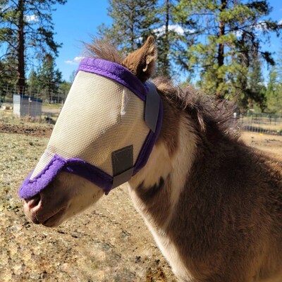 Fly Mask for Minis, Ponies, Foals, Donkeys, Handmade in the USA Montana ...