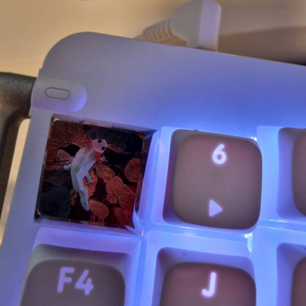 Axolotl Artisan Custom Keycaps, Cherry MX Keycaps Cute ESC Keycap ...