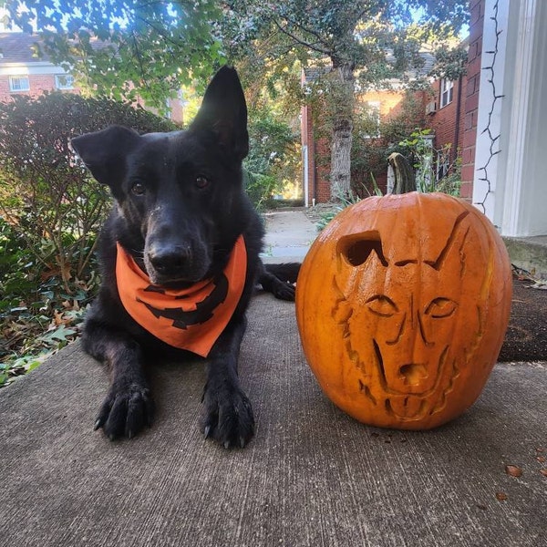 Triceratops Fossil Silhouette Printable Pumpkin Carving Pattern ...