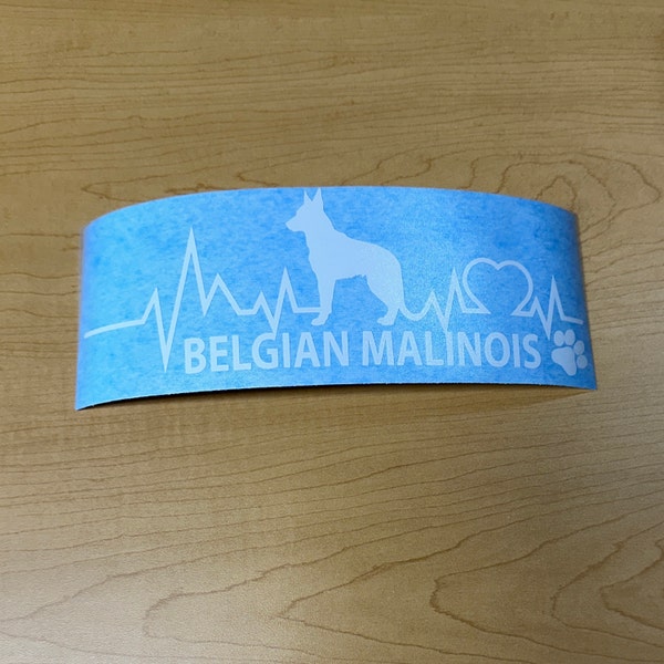 Raiders Svg,raiders Mascot Svg,raiders Cut File,raiders Vector,raiders ...