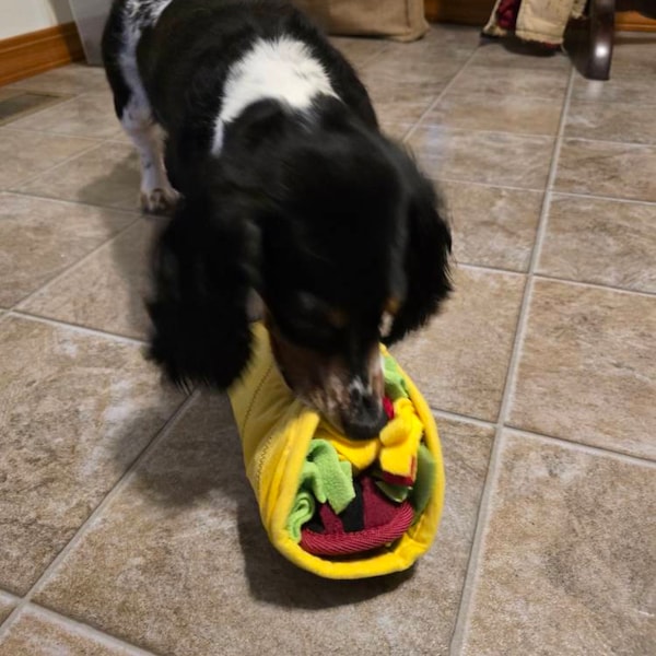 Taco Snuffle Dog Toy - Dog Toys, Snuffle Mat, Interactive, Mental ...