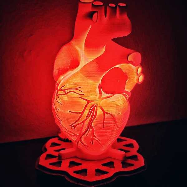 Human Heart - 3D Printed Accent Lamp, Anatomical, Table Lamp, Novelty ...