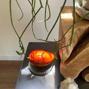 Vintage Gien Neptune Plate, Fish Border Faience Earthenware Stoneware ...