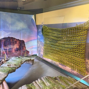 Reptile Climbable Wall Climbing Wall for Reptiles Reptile Climbable ...