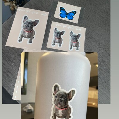 10 Piece Mini French Bulldog Sticker Pack Mini Sticker Pack Waterproof ...