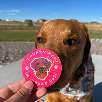 Stickers Assistance Animals Save Lives Personalize I Met an Assistance ...