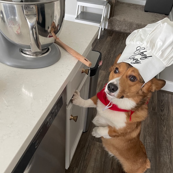 Chef Dog Costume Hat and Red Scarf - Etsy