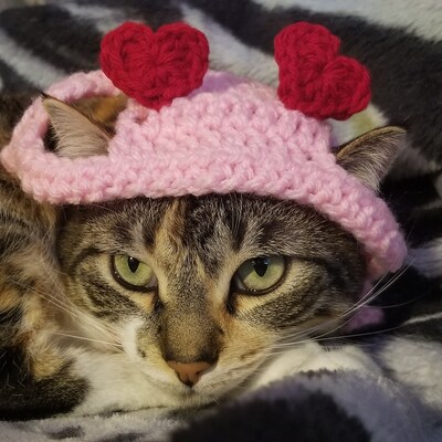 Heart Headband for Cats, Valentine's Day Cat Accessories, Cat Photo ...