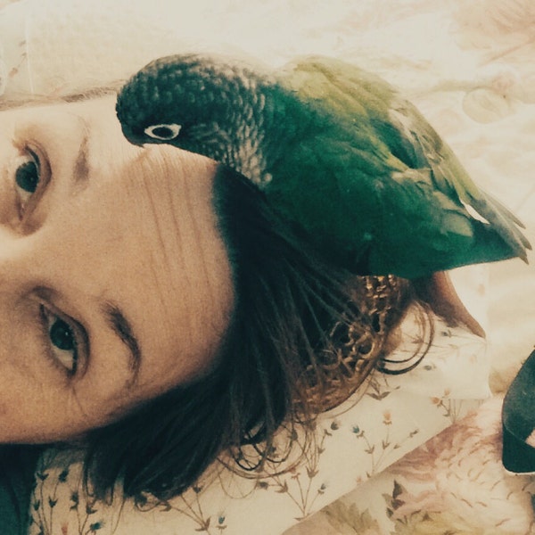 Vintage Corrective Orthopedic White High Top Shoes Made by Markell ...