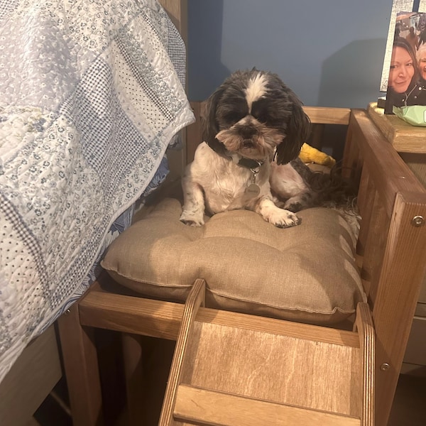 Gifts for Pets - Dog Window Perch - Elevated Dog Bed Furniture - Raised ...