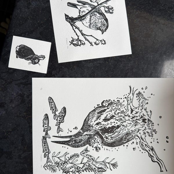 Orca - Original Lino Cut Print Whale - Etsy