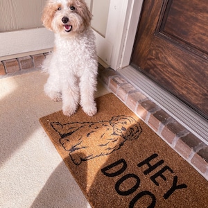 1426 Hey Dood Golden Doodle Dog Goldendoodle Doormat Labradoodle ...