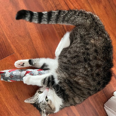 Spooky Easter Sticker Hoppy Spooky Easter Spooky Easter - Etsy