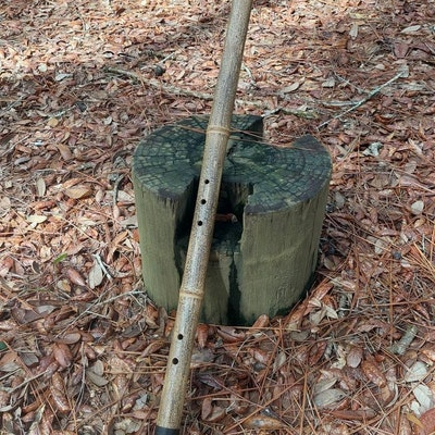 Dragon Skin Native American Style Bamboo Flute in the Key of C. Ethnic ...