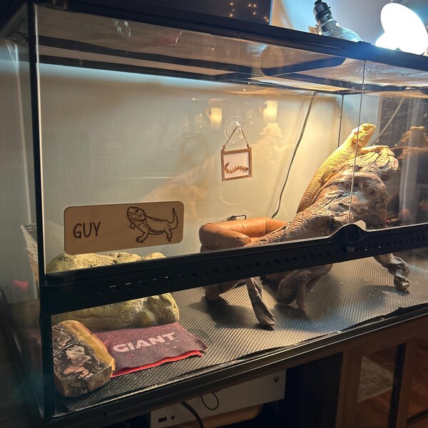 Leopard Gecko Tank Decor, Leopard Gecko Accessories, Leopard Gecko Tank ...