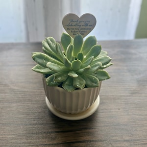 Thank You Retirement Plant Stick Gifts Party Favors, Custom Retirement ...