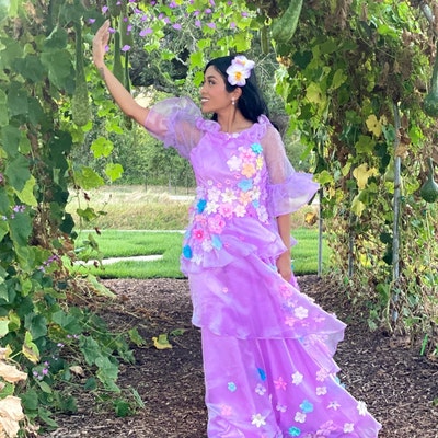 Handmade Cosplay Isabela Dress, Isabela Encanto Dress, Encanto Isabela ...