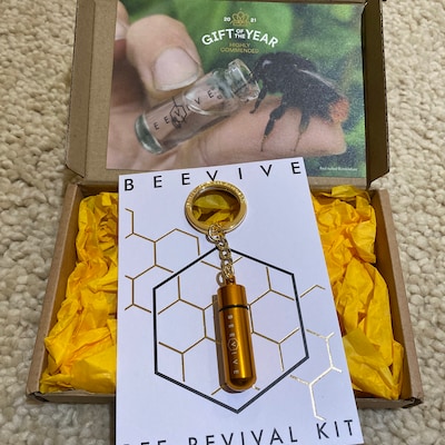The Original Bee Revival Kit Gold Edition - Etsy