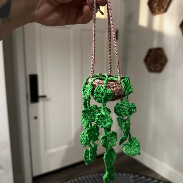 Tiny Pothos Crochet Pattern Bundle Pothos Jade, Monstera and String of ...