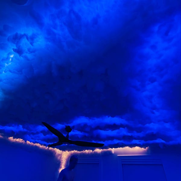 Pre-made Cloud Ceiling | Quick & Easy - No Mess | Tik Tok Cloud Light ...
