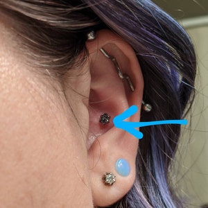 Titanium Threadless Push Fit Vitrail Medium Flower Labret - Etsy