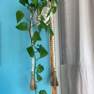 Rustic Buffalo Check Cow Kitchen Canisters Kitchen Canister - Etsy