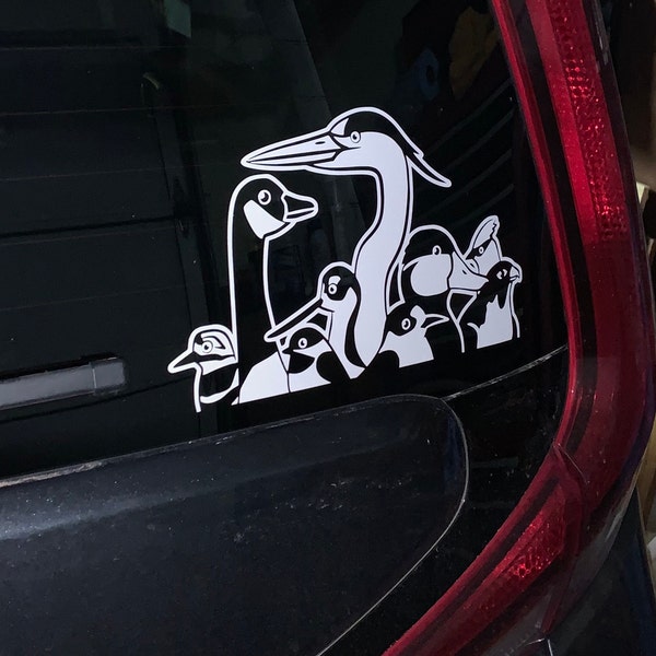 Minnesota - Printable Backyard Birds of Minnesota Field Guide Print ...