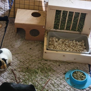 Rabbit Bunny Bowl Feeding Stand | Etsy