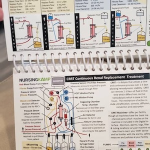 Labs Fishbone Medication Levels ABG Reference Badge ID Nursing Student ...