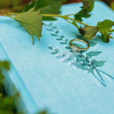 Daughter of the King, Purity Ring - Etsy