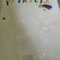 Pink Roses Sticky Notes BLANK or LINED Sticky Notes Post-it Notes ...