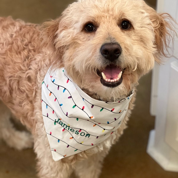 Roll the Dice | Instant Download | Gross Motor Movement & Regulatory ...