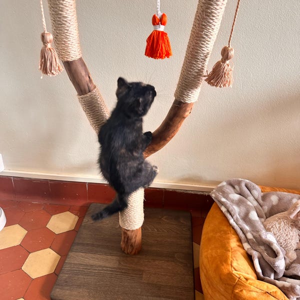 Unique Scratching Post, Cat Climbing Tree With Toys, Solid Wood ...
