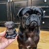 Bronze Budha Pug Yoga Meditation, Spiritual Office Decor, Birthday for ...