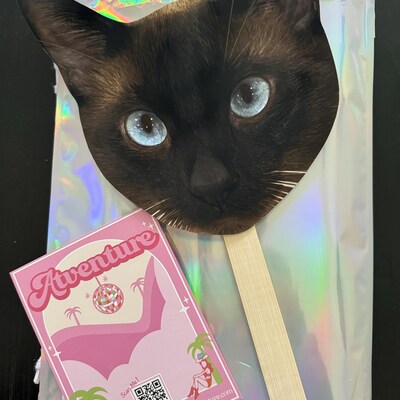 Bridal Wedding Veil Last Rodeo Bachelorette Bridal Shower Gift ...